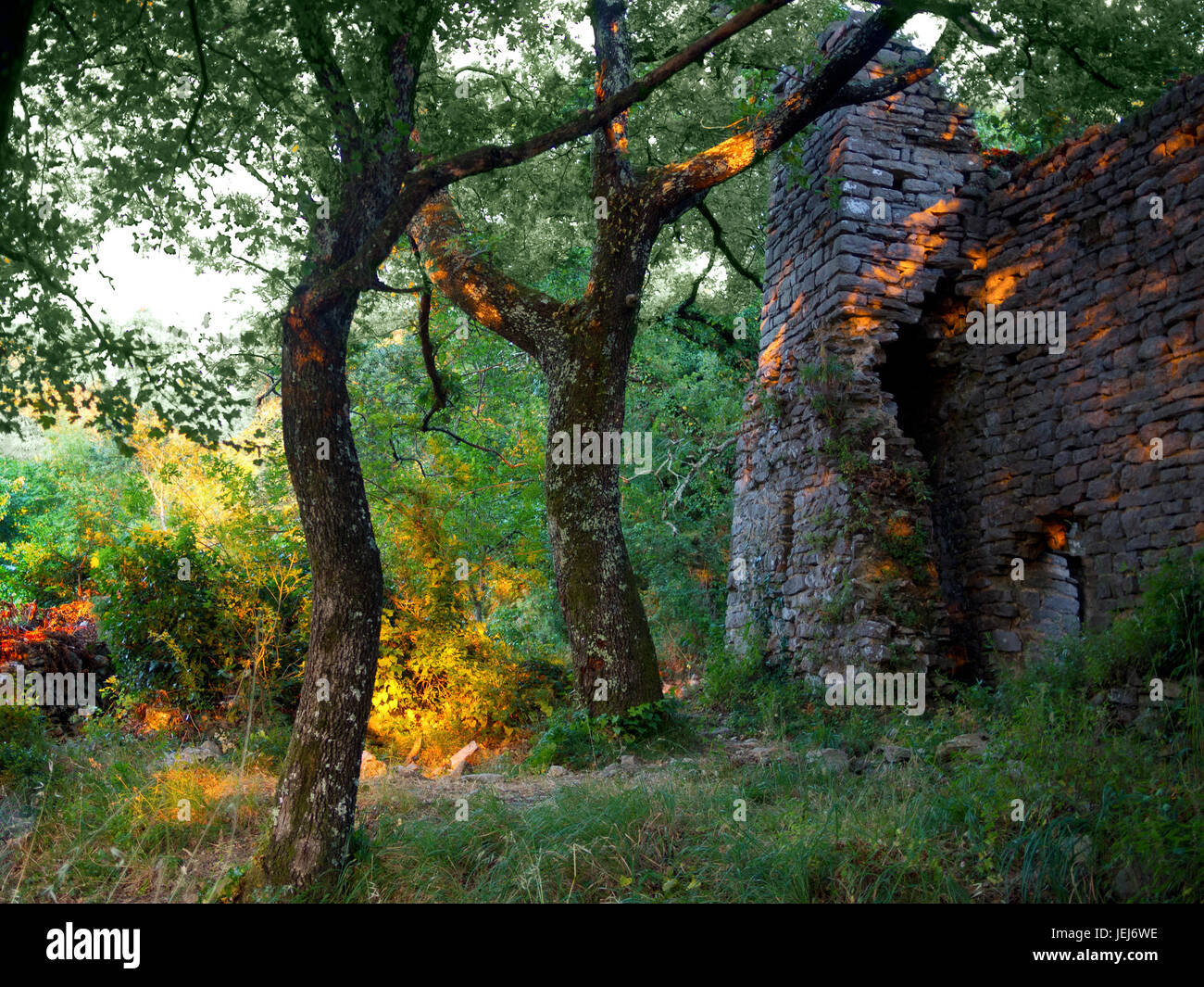 Solstice 2017, Amazing fiery lights through the woods, with old church ...