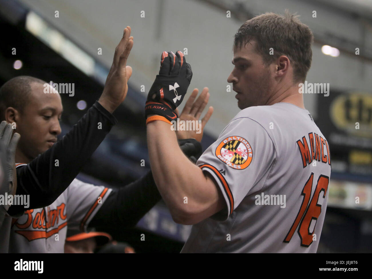 Florida, USA. 25th June, 2017. CHARLIE KAIJO | Times.Baltimore Orioles ...