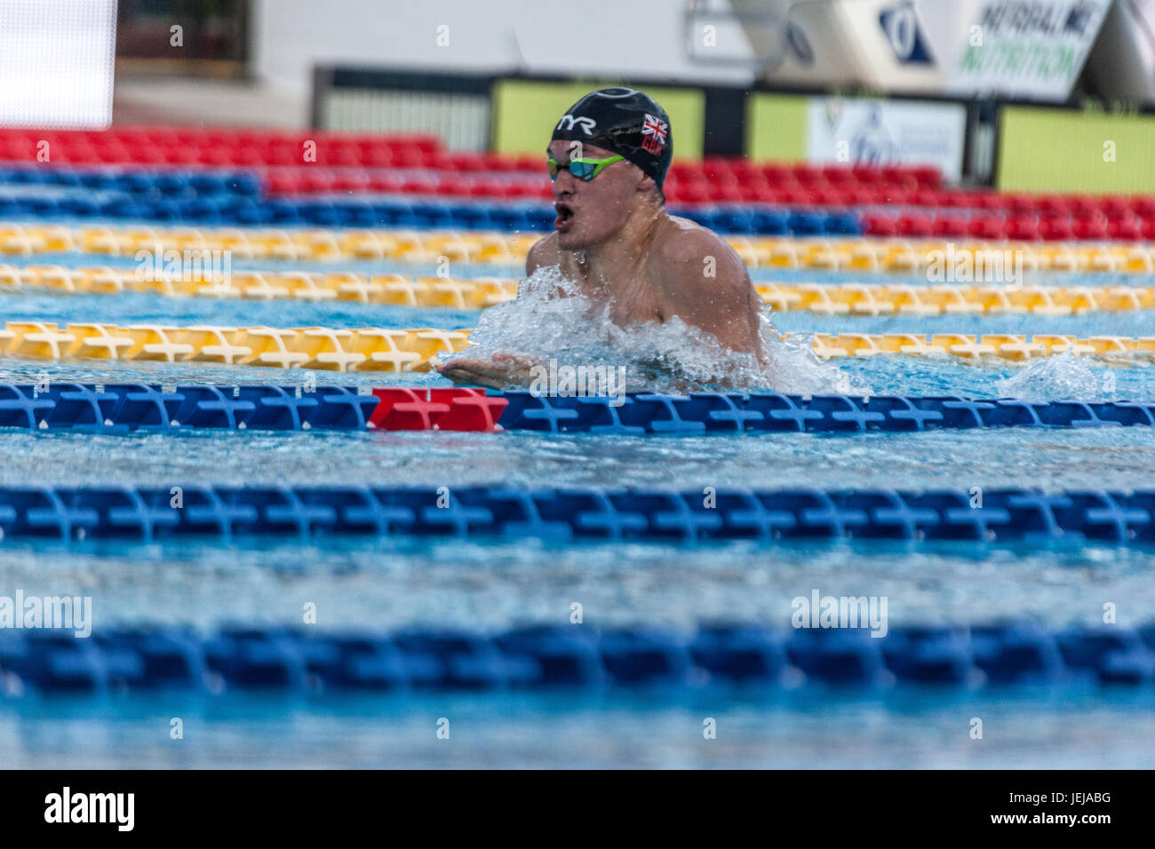 The 54th edition of Seven Swimming Pool Trophy 2017 Stock Photo - Alamy
