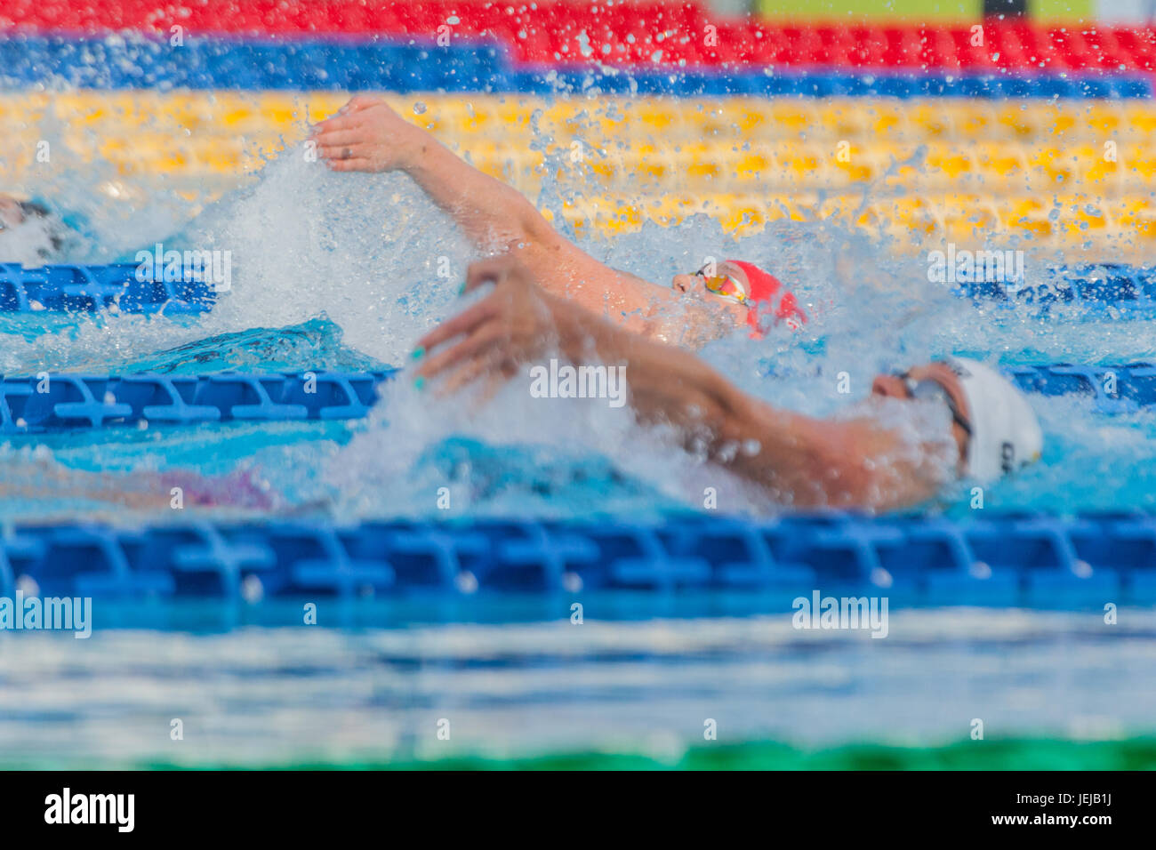 The 54th edition of Seven Swimming Pool Trophy 2017 Stock Photo - Alamy
