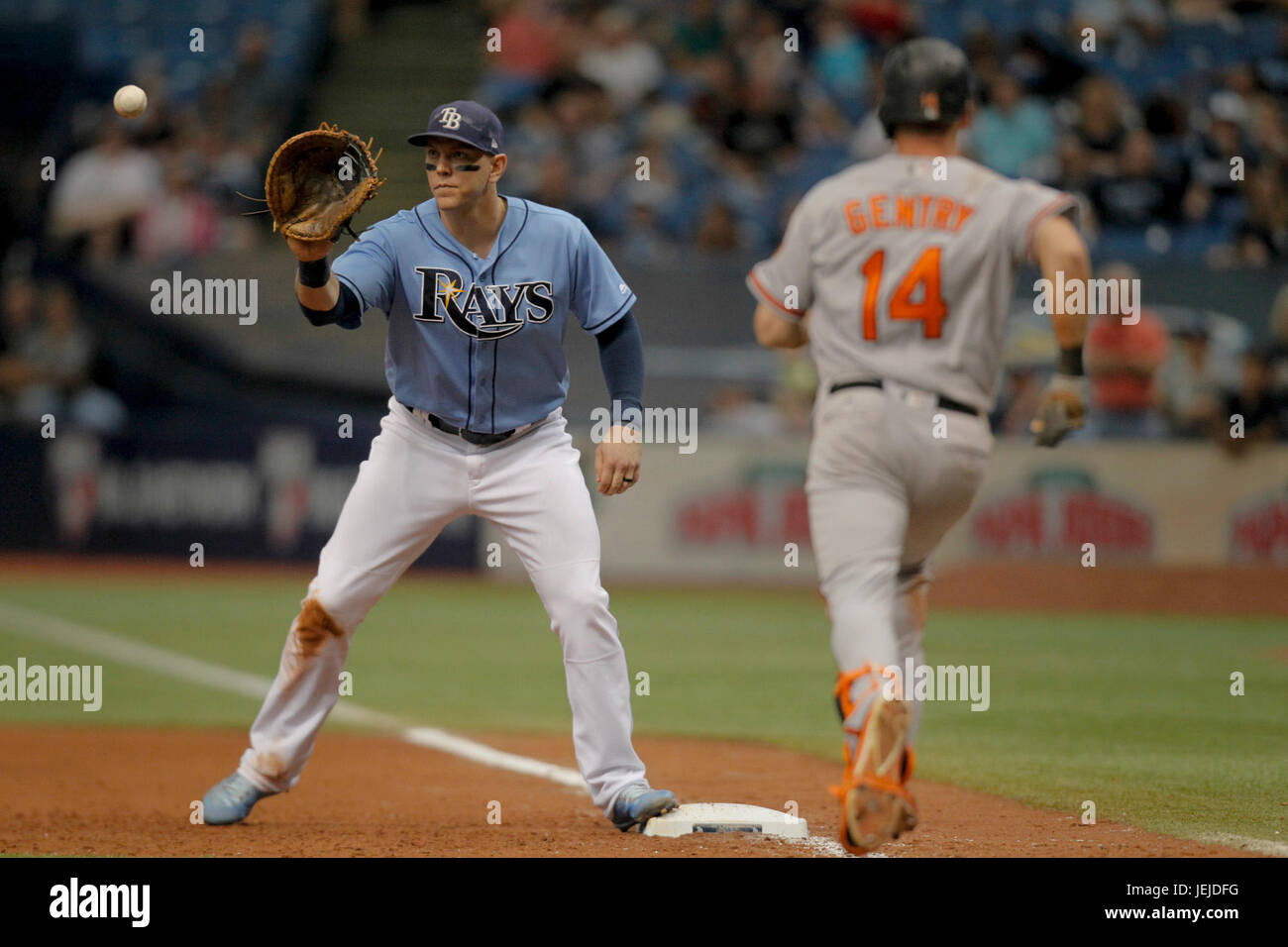 Florida, USA. 25th June, 2017. CHARLIE KAIJO | Times.Tampa Bay Rays ...