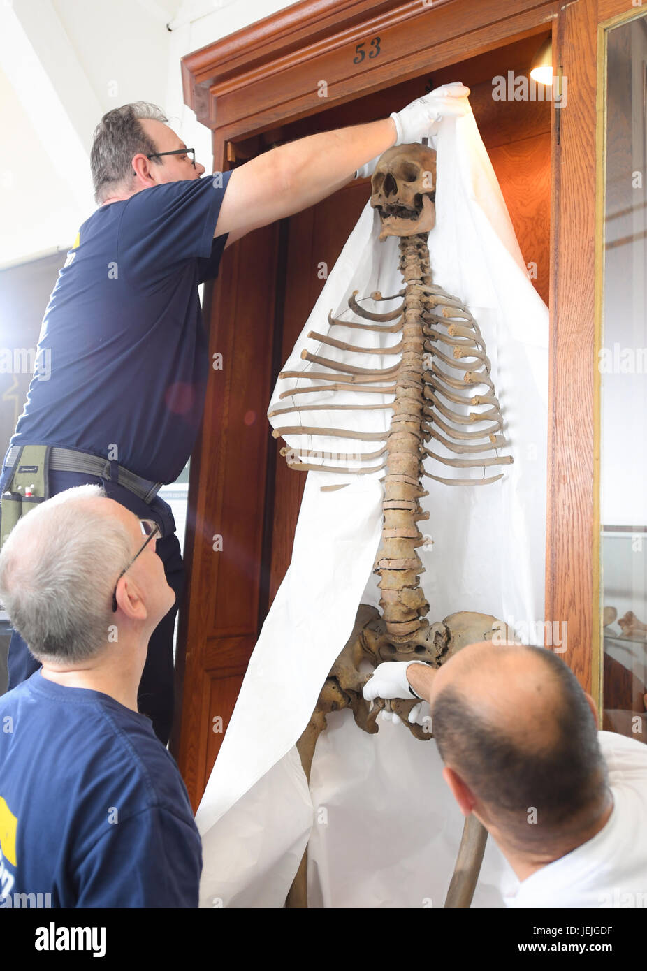 Anatomicum hi-res stock photography and images - Alamy