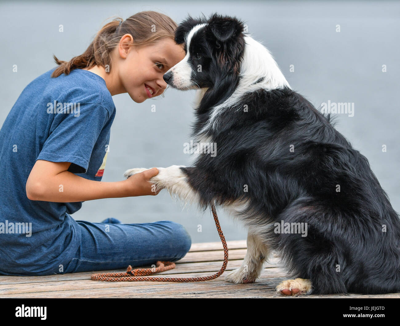 The ten year old girl Amy and her Border Collie Tilda can be seen on ...