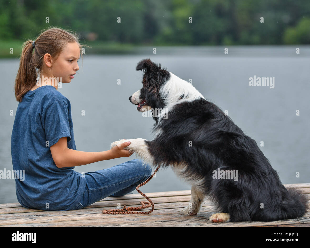 The ten year old girl Amy and her Border Collie Tilda can be seen on ...