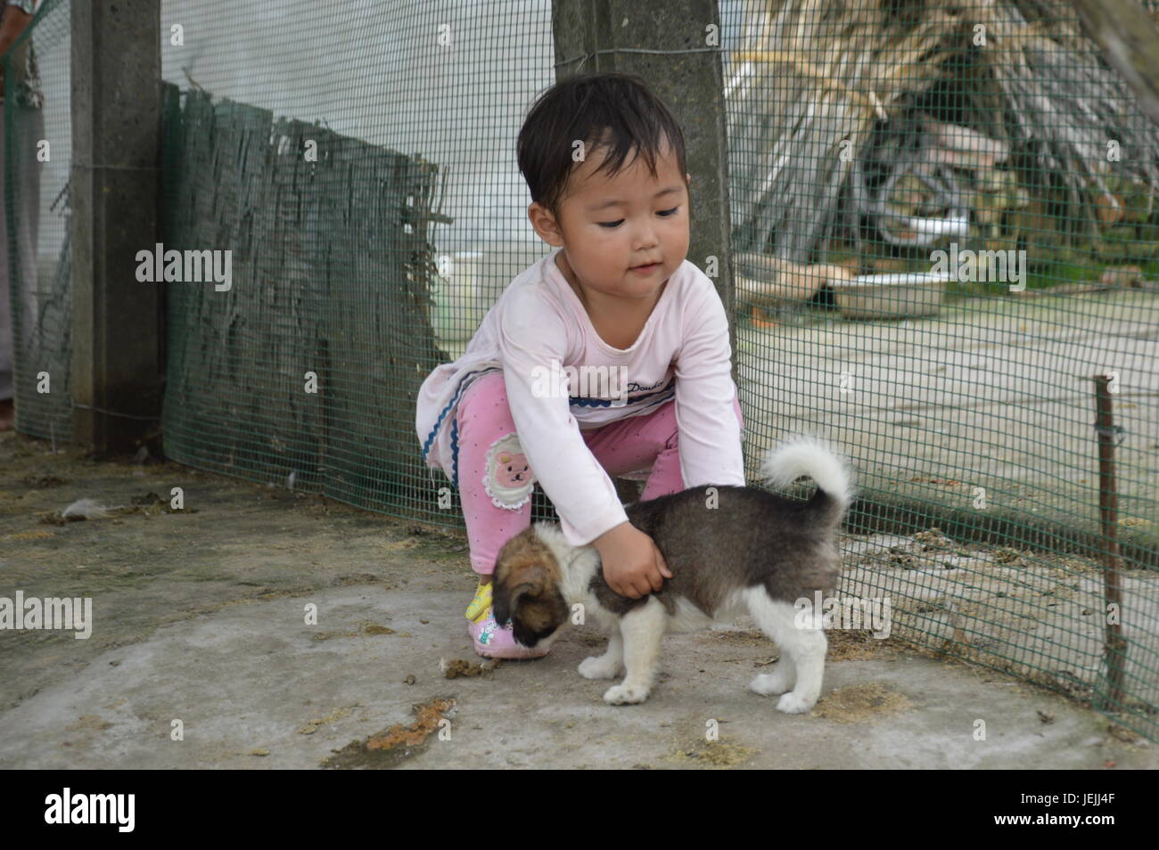 Neijiang hi-res stock photography and images - Alamy