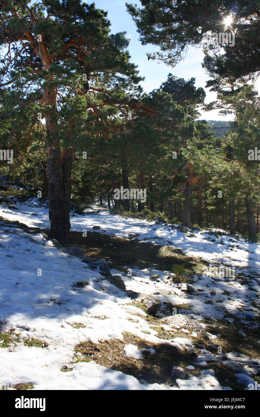 Spain, Winter, Landscape, The beauty of nature, Mountain chain, Sky ...