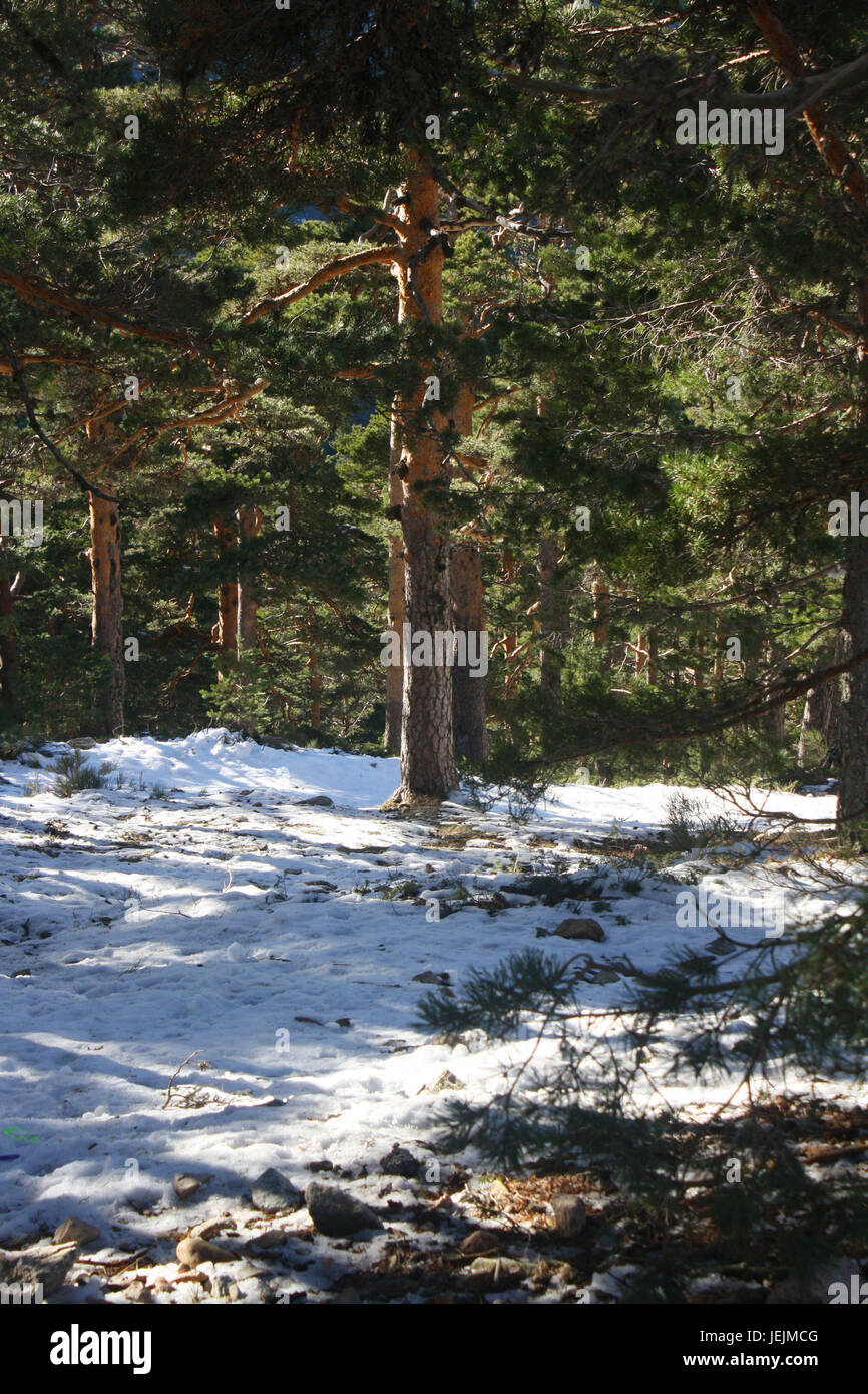 Spain, Winter, Landscape, The beauty of nature, Mountain chain, Sky ...