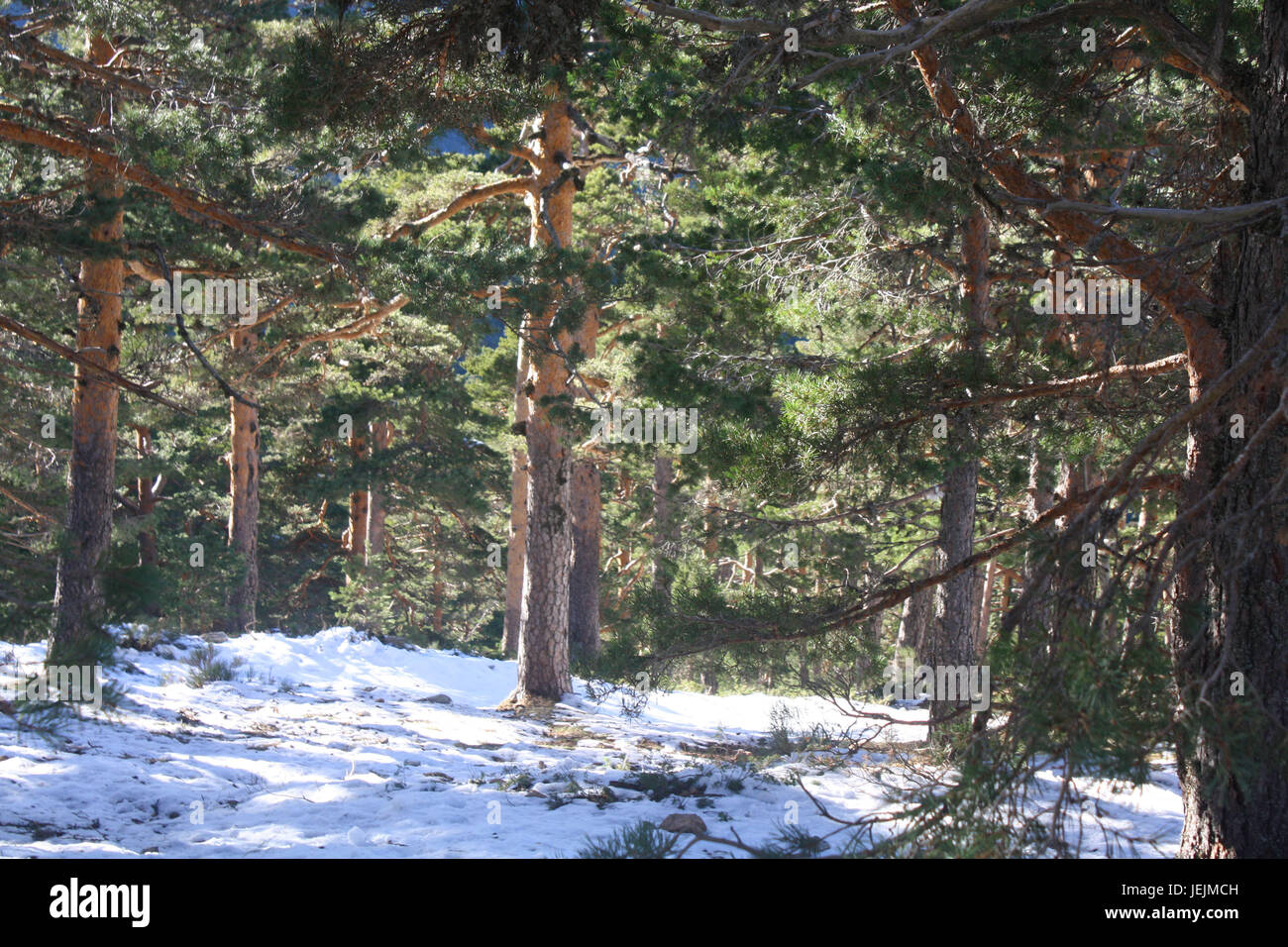 Spain, Winter, Landscape, The beauty of nature, Mountain chain, Sky ...