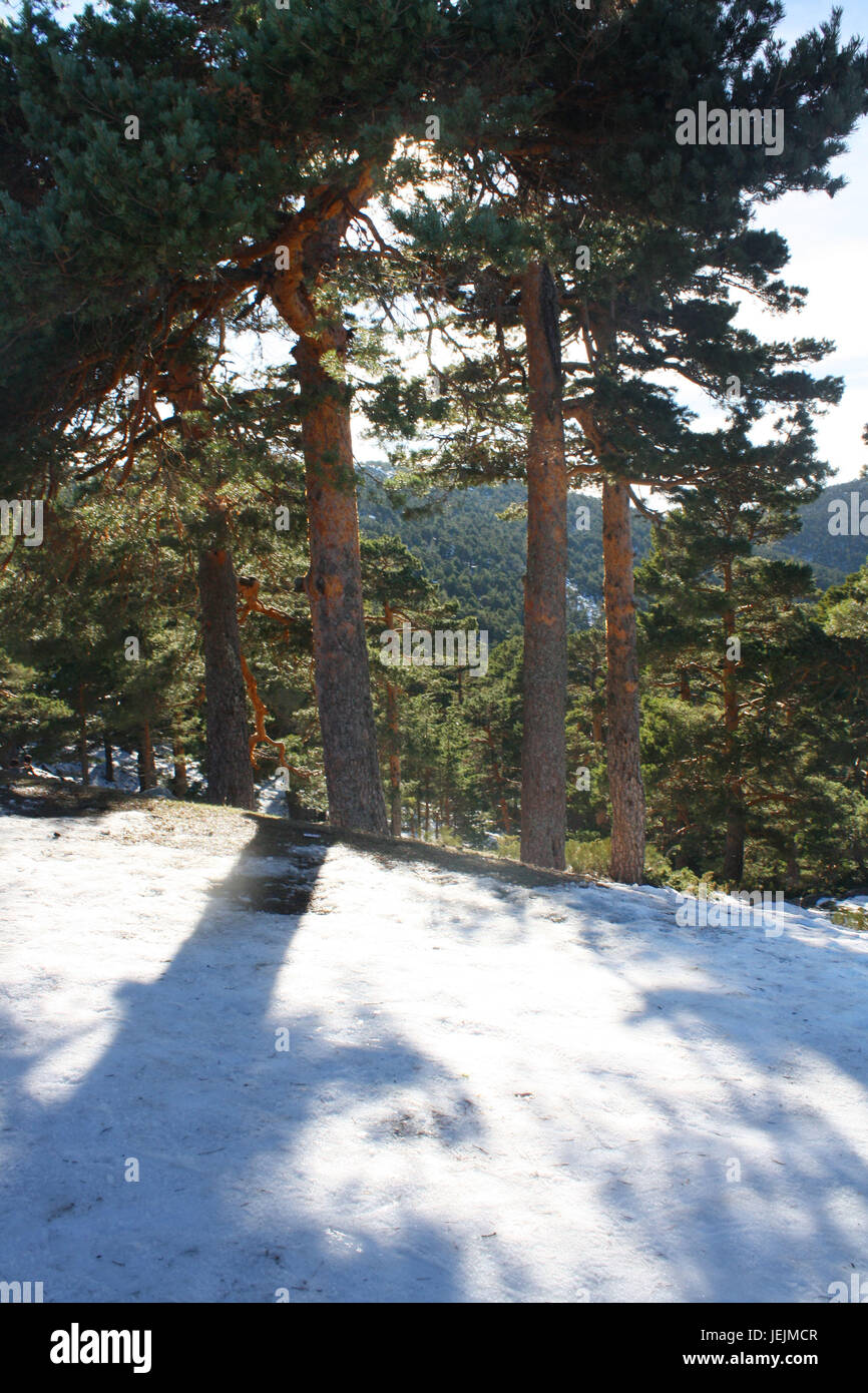 Spain, Winter, Landscape, The beauty of nature, Mountain chain, Sky ...