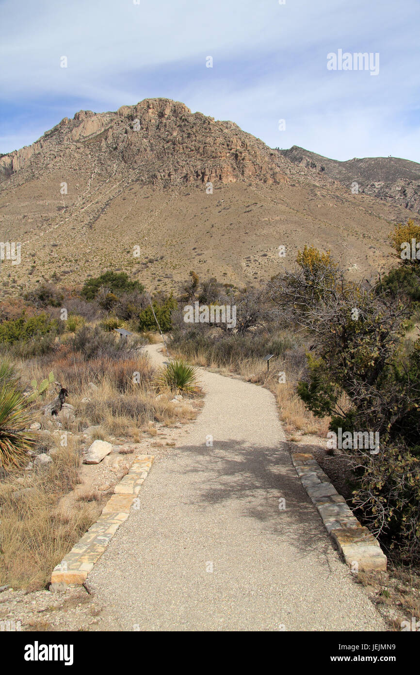 The short and easy Pinery Trail is popular with visitors looking for a ...