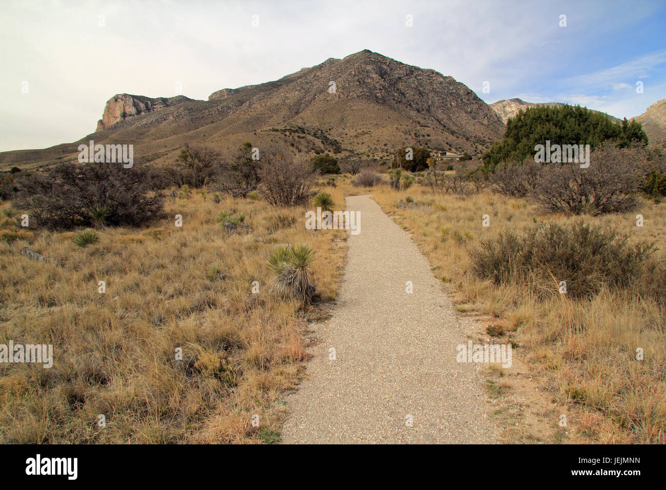 The short and easy Pinery Trail is popular with visitors looking for a ...