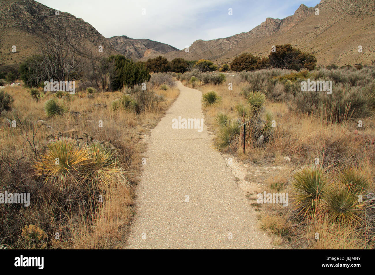 The short and easy Pinery Trail is popular with visitors looking for a ...