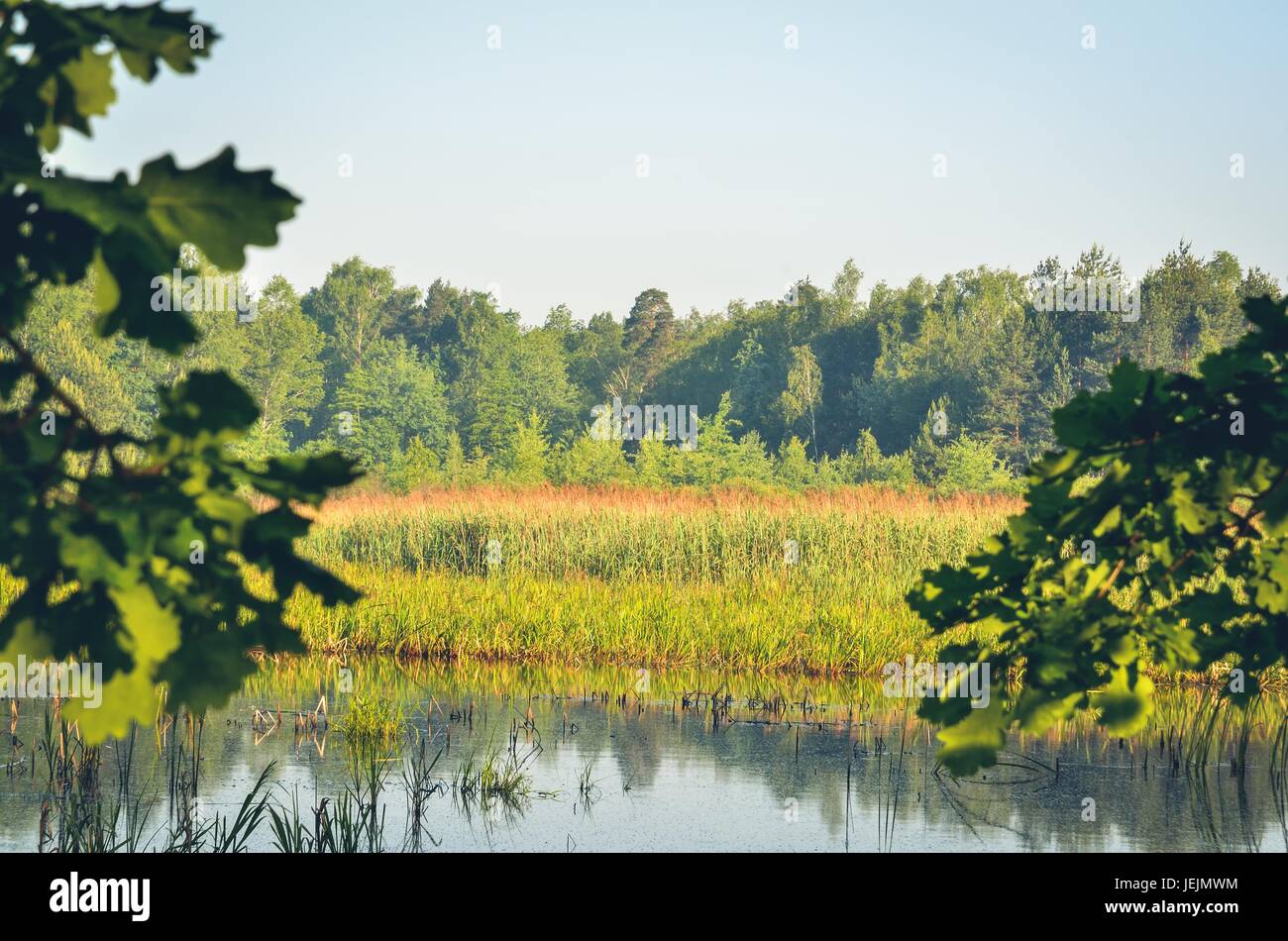 Spring pond hi-res stock photography and images - Alamy