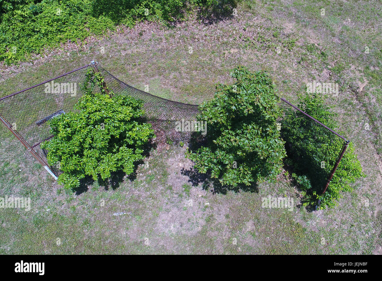 Aerial view of overgrown backstop on abandoned baseball field Stock ...