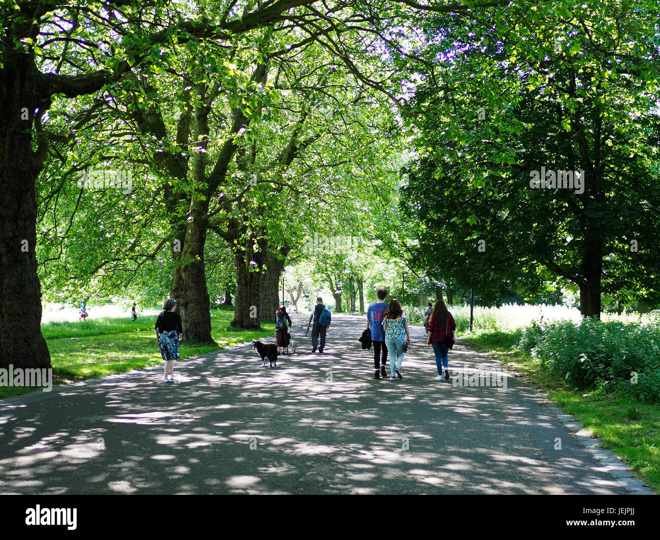 Sefton park beauty hi-res stock photography and images - Alamy
