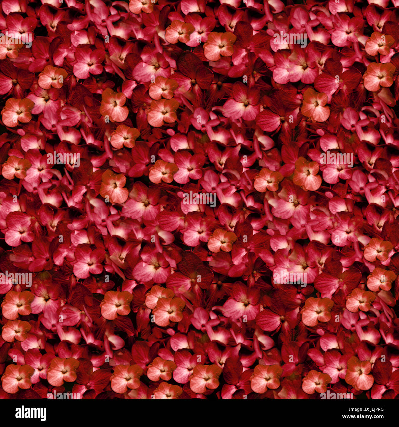 Wallpaper pattern red collage hi-res stock photography and images - Alamy