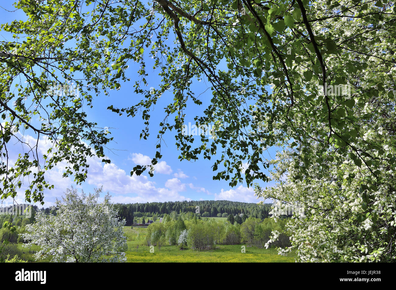 Spring village hi-res stock photography and images - Alamy