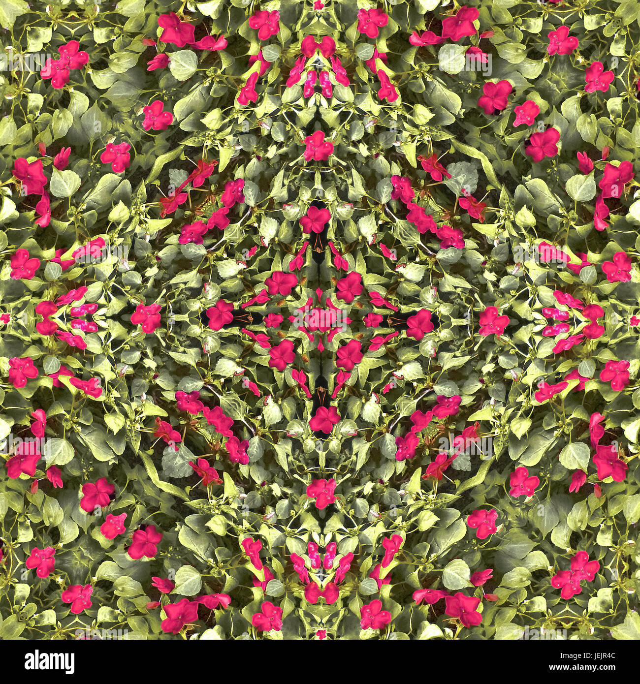 Collate hi-res stock photography and images - Alamy