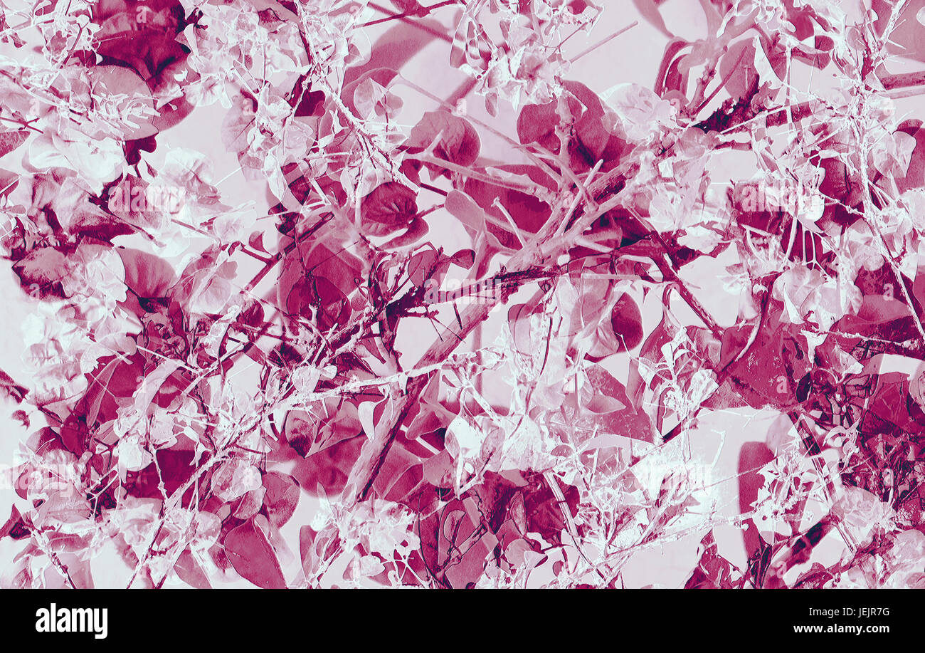 Floral Collage Artwork Stock Photo - Alamy