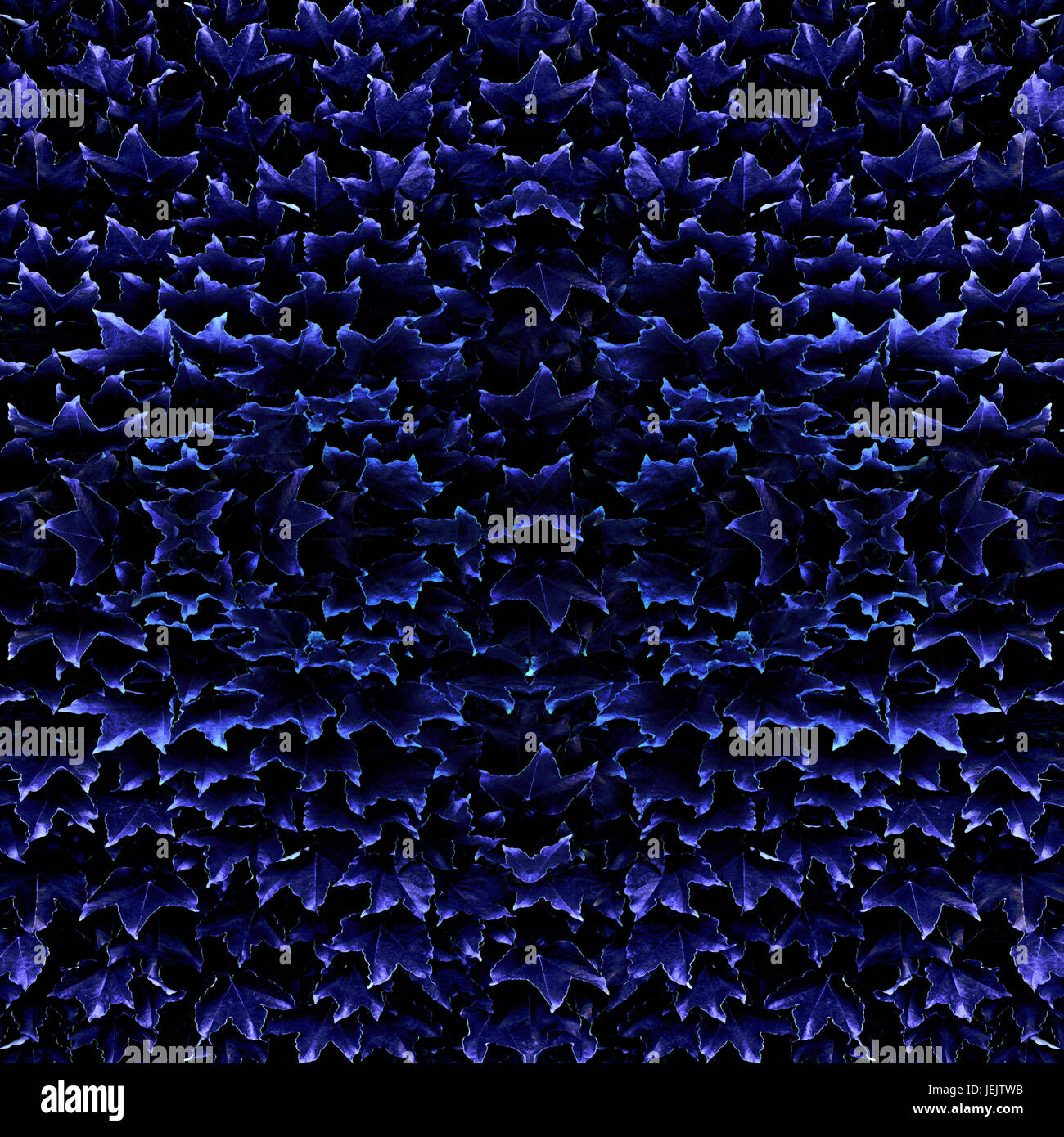 Dark Nature Motif Stock Photo - Alamy