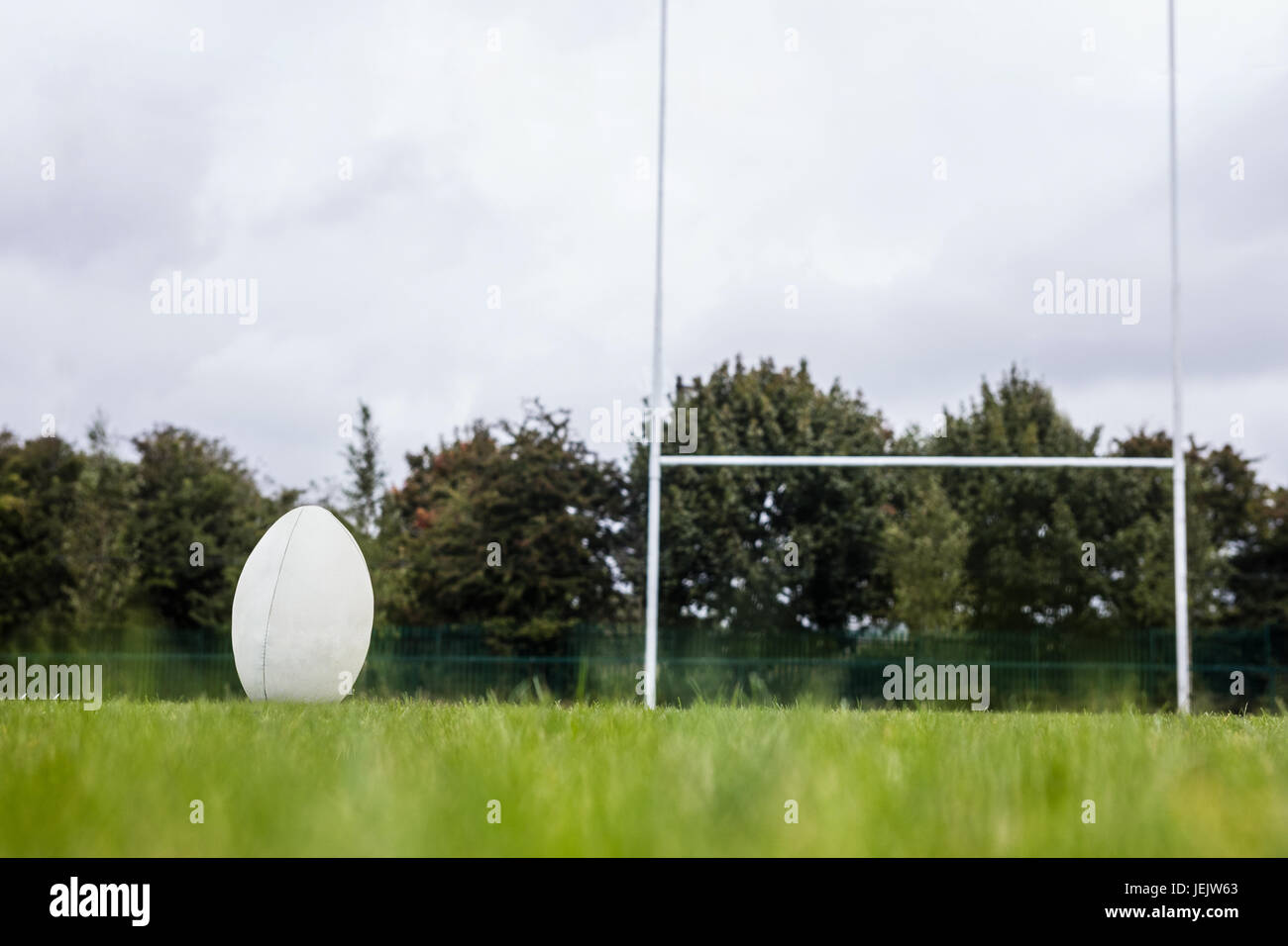 Rugby ball on the pitch Stock Photo - Alamy
