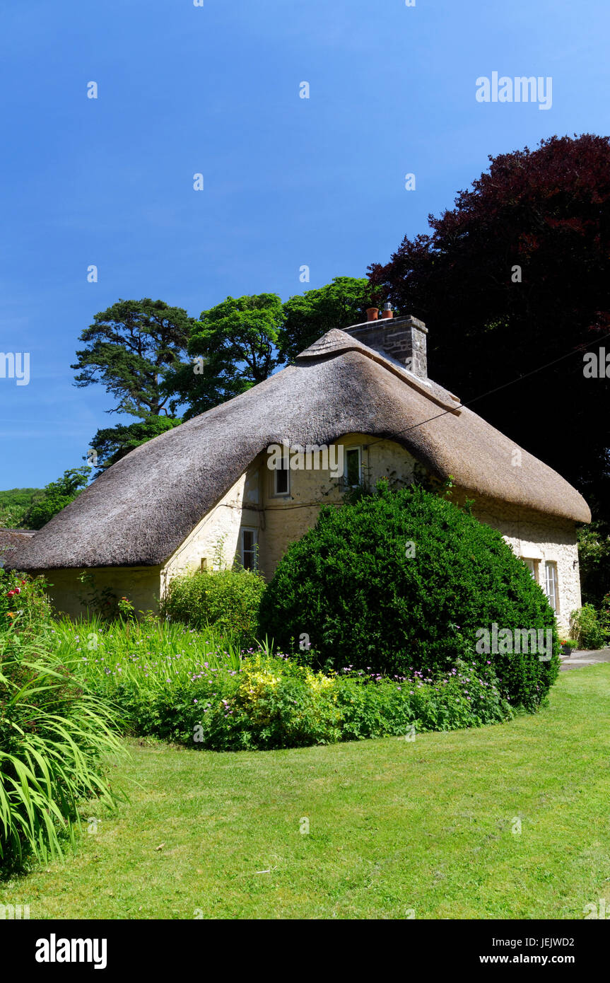 Cute thatched cottage hi-res stock photography and images - Alamy