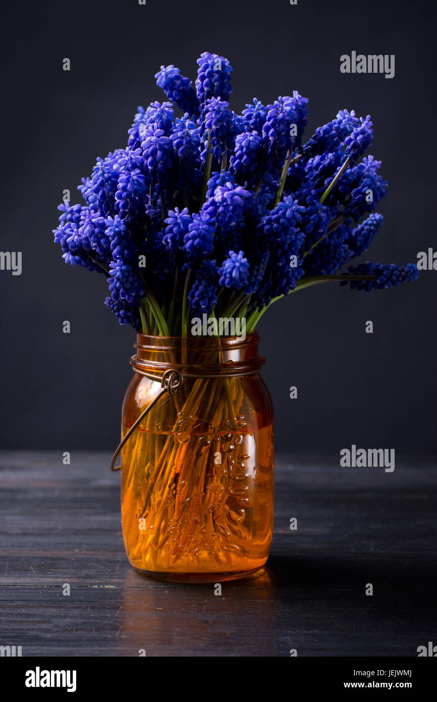 Purple hyacinths in orange hi-res stock photography and images - Alamy
