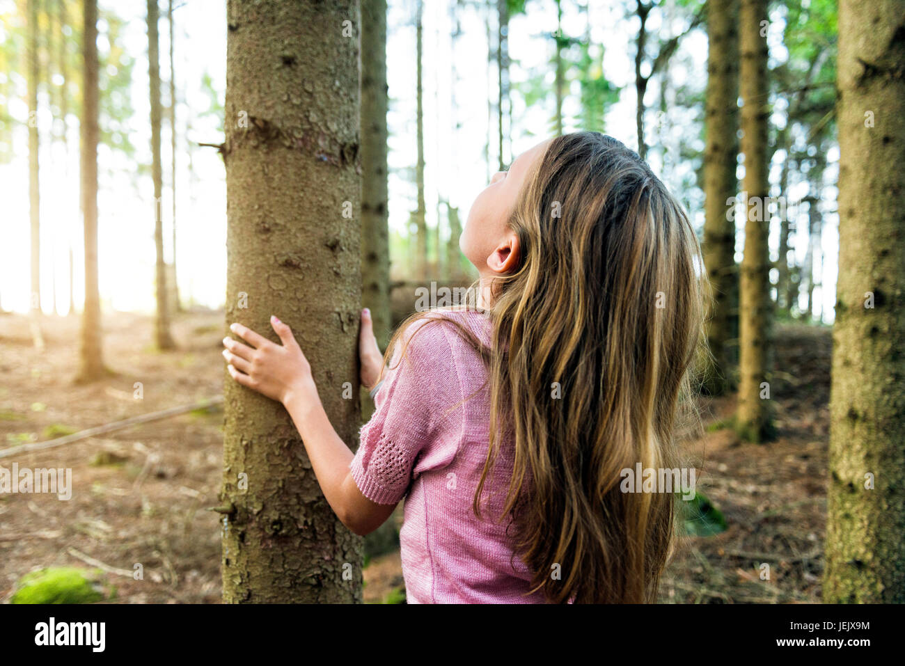 Girl holding tree trunk and looking up Stock Photo - Alamy