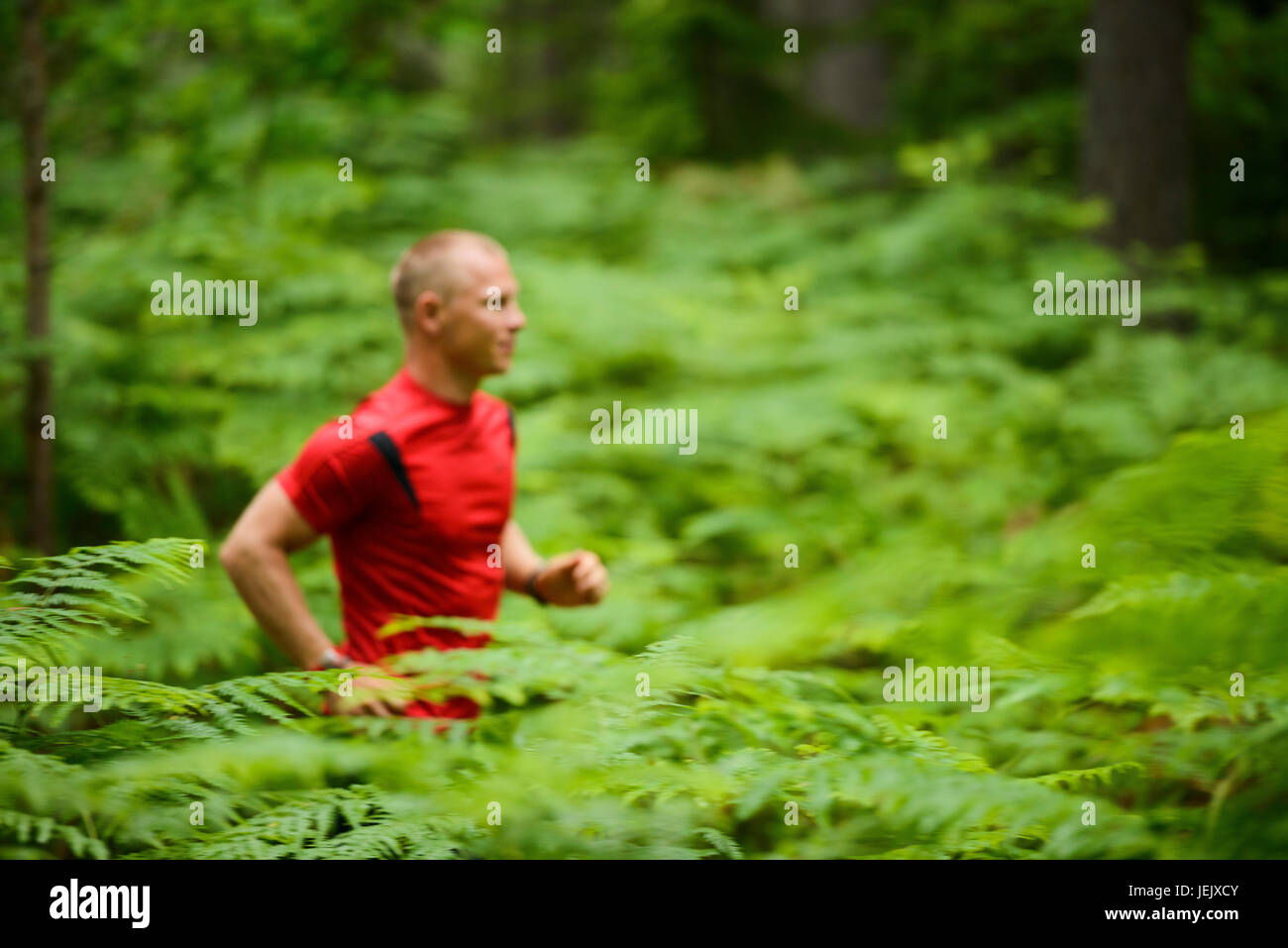 Young man running through forest Stock Photo - Alamy