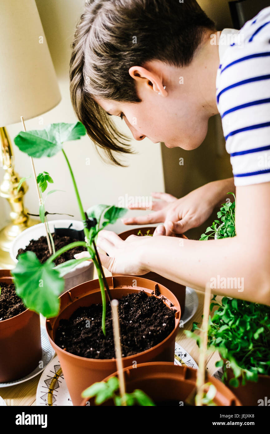 Young woman tying plant Stock Photo - Alamy