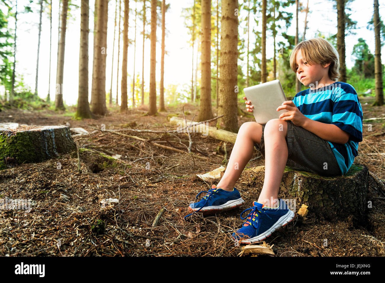 Boy using digital tablet in forest Stock Photo - Alamy