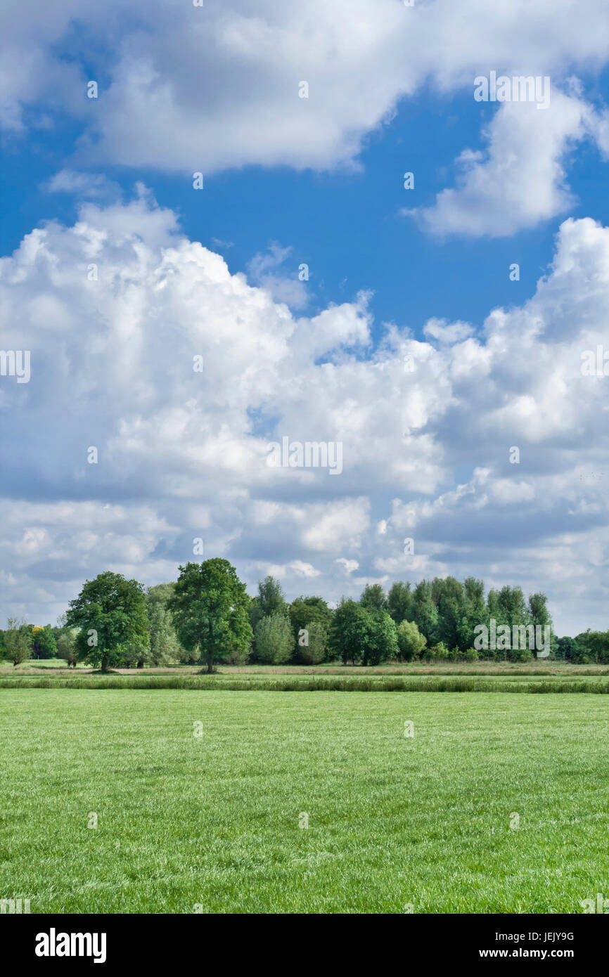 Lush green scenery with dramatic shaped clouds, The Netherlands Stock ...