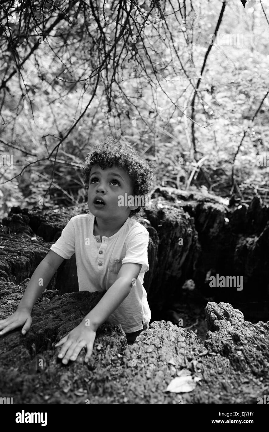 Boy in hole in forest Stock Photo - Alamy