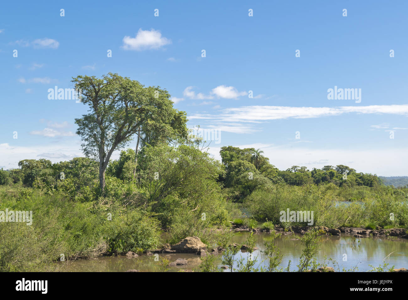 Landscape of Parana River at Iguazu Falls Stock Photo - Alamy