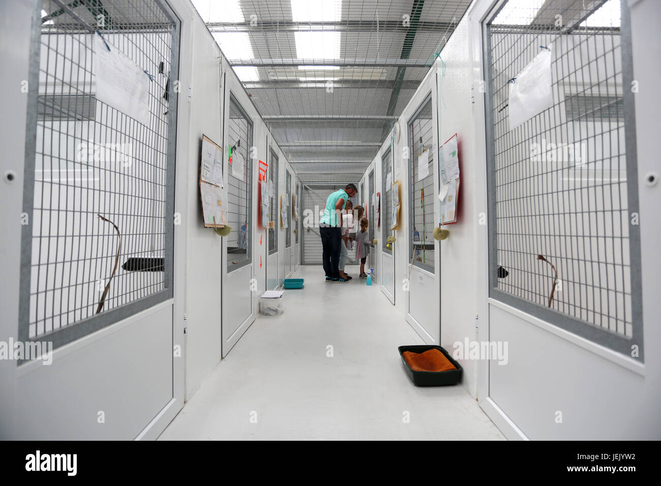 Views inside The Cat & Rabbit Rescue Centre in Sidlesham, Chichester ...