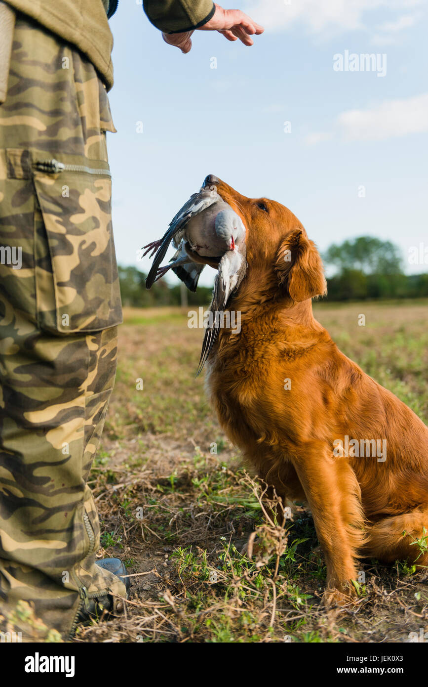 Giving the bird hi-res stock photography and images - Alamy