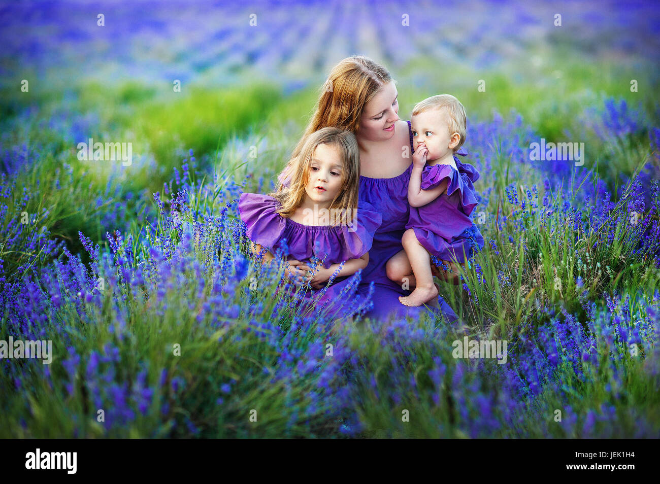 Family portrait - mother and two daughters in a beautiful lavender ...