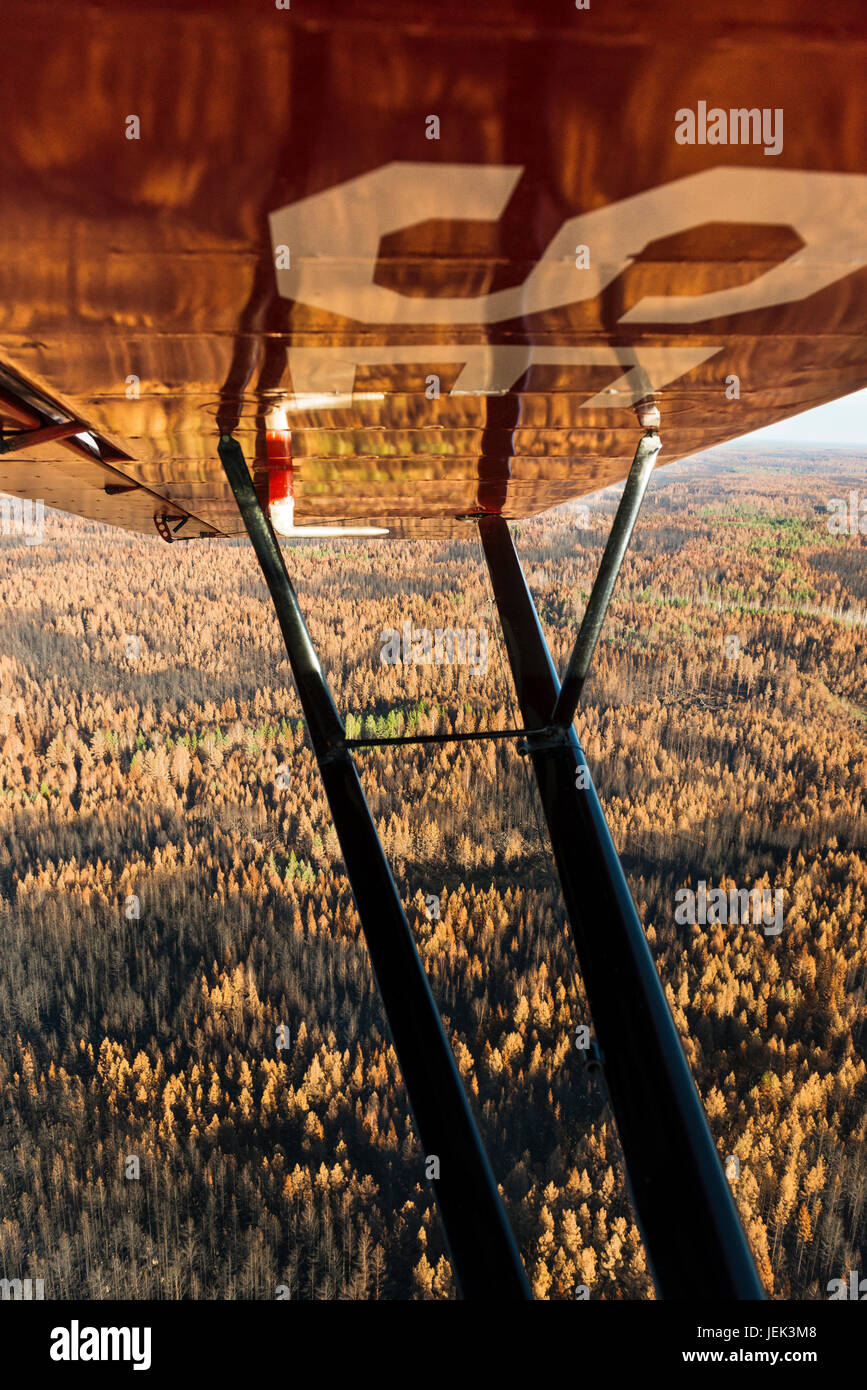 Plane above autumn forest Stock Photo - Alamy