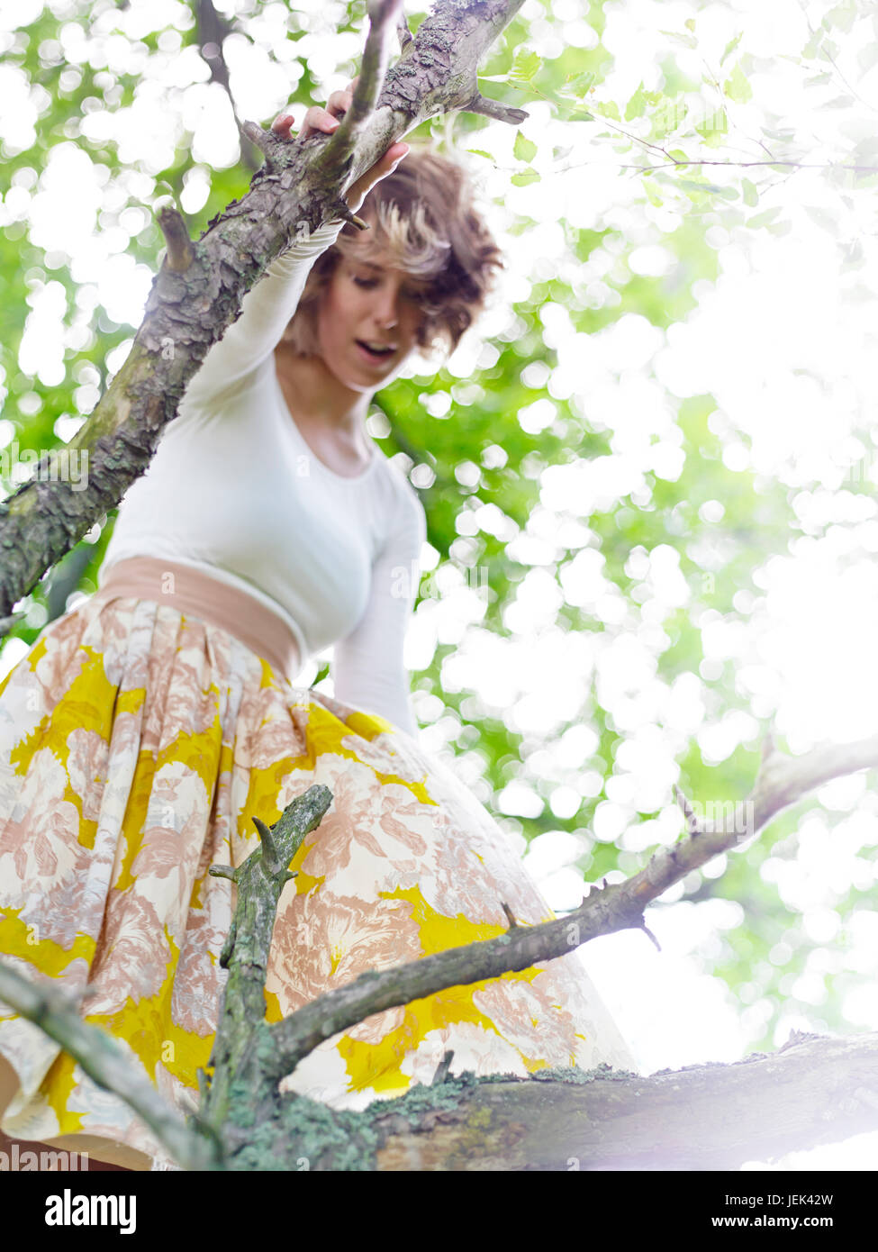 Young woman on tree Stock Photo - Alamy