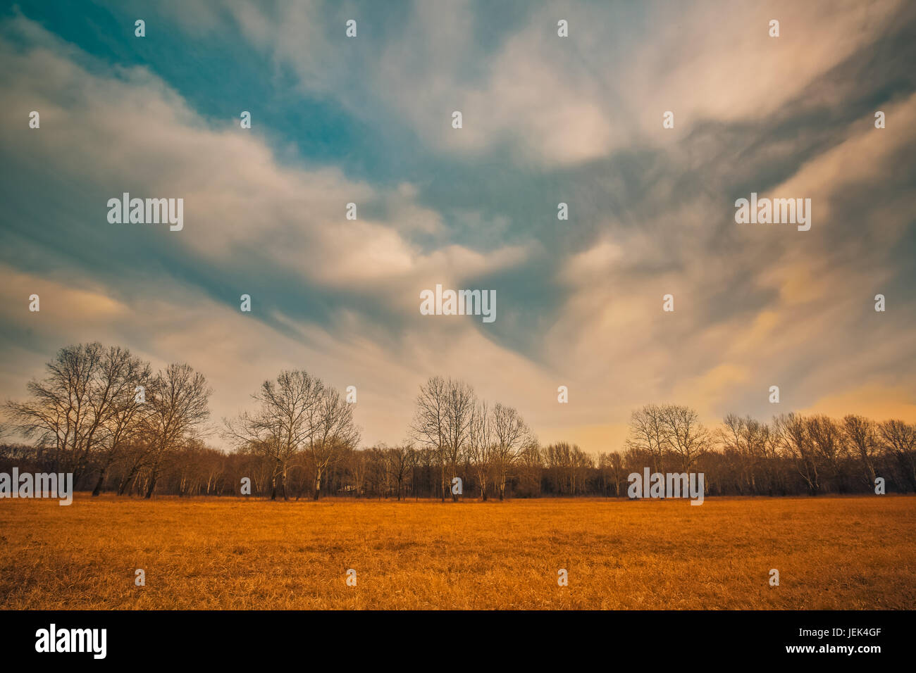 Autumn landscape and dramatic sky. Trees and meadow field under cloudy ...