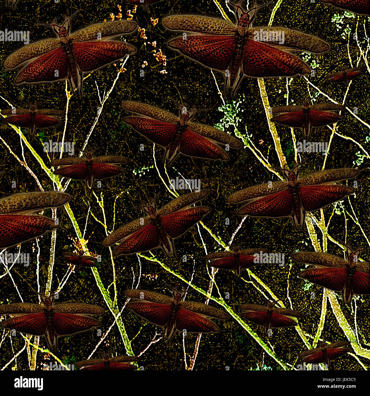 Dragonfly fun hi-res stock photography and images - Alamy