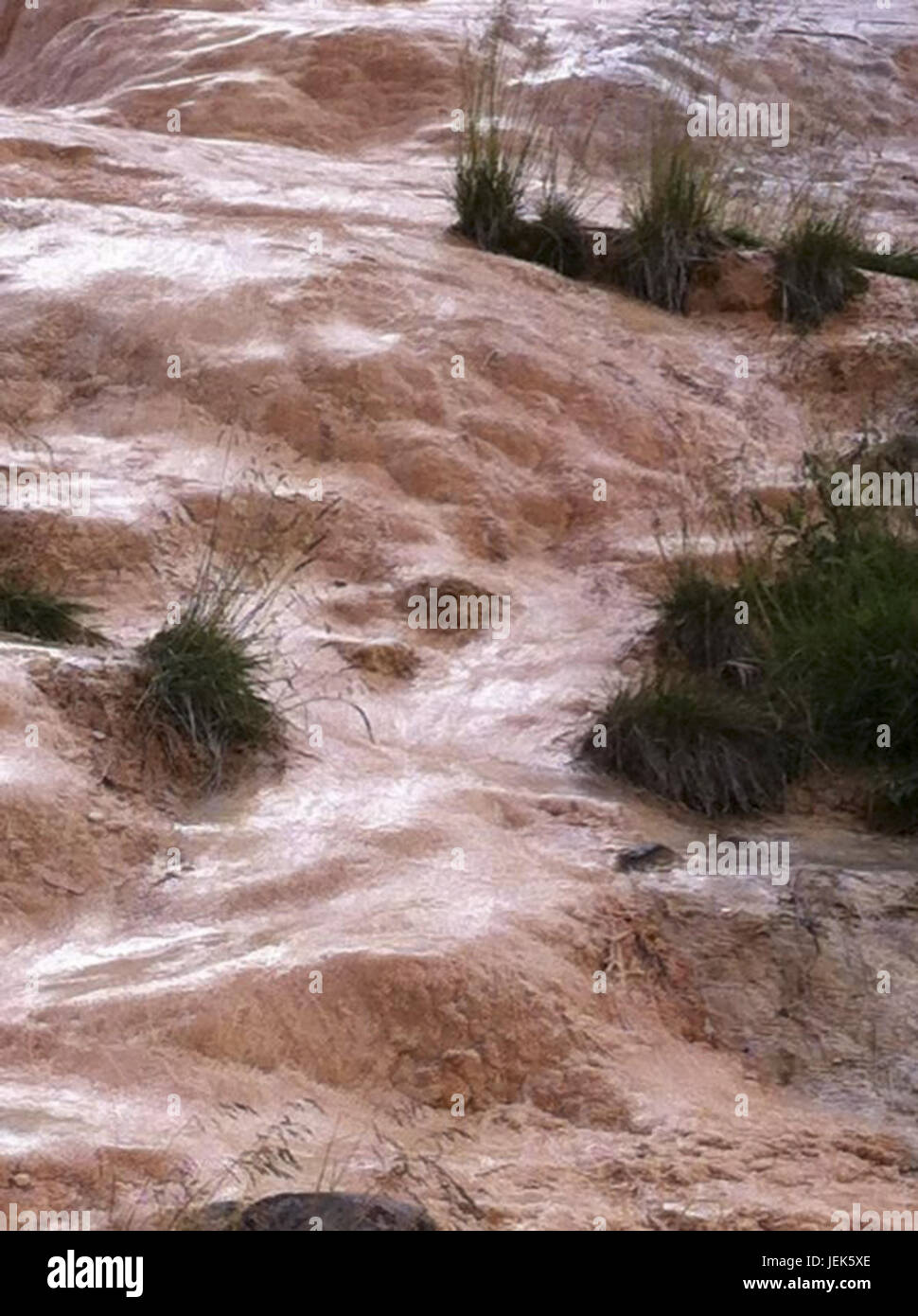 Grass in sand hi-res stock photography and images - Alamy
