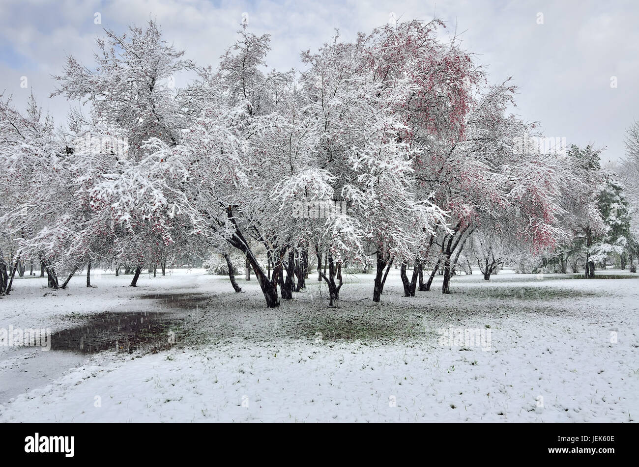 Nice winter scene in hi-res stock photography and images - Alamy