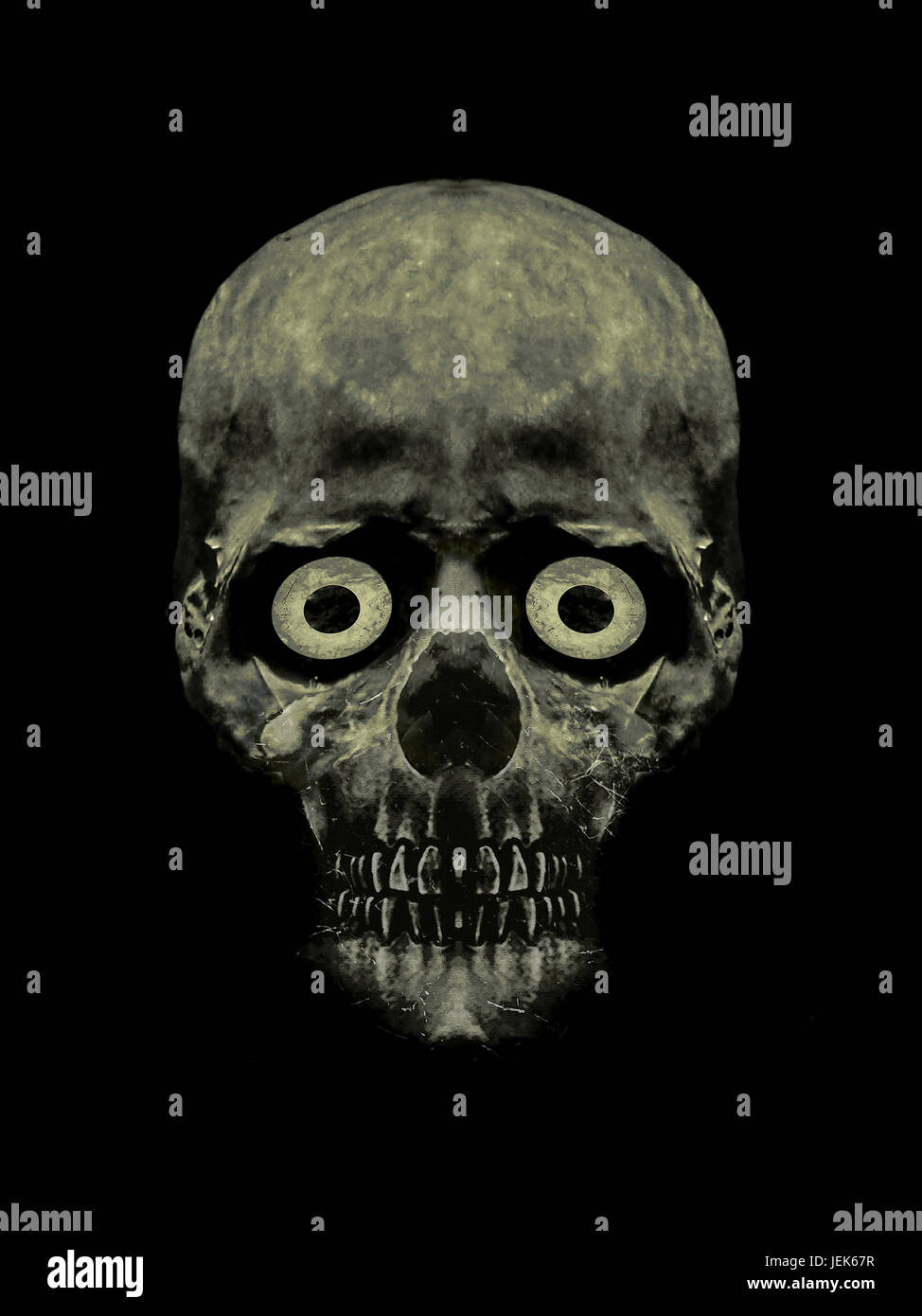 Funny skull hi-res stock photography and images - Alamy