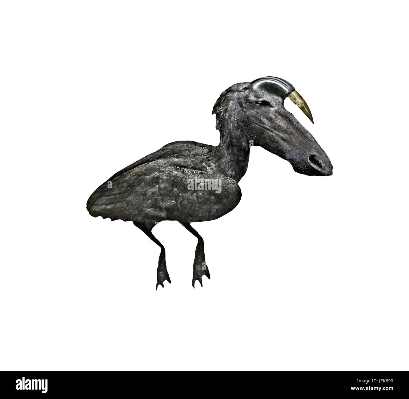 Creature collage hi-res stock photography and images - Alamy