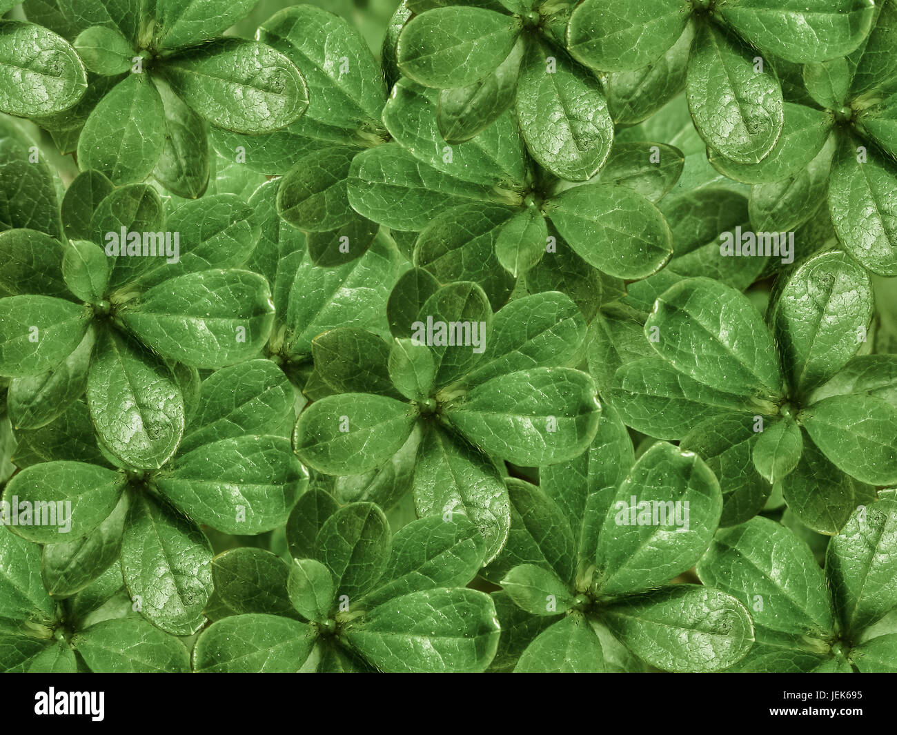 Digital pattern hi-res stock photography and images - Alamy