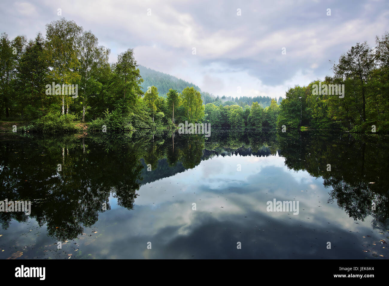 nature reserve, Rehlingen, Saarland, Germany Stock Photo - Alamy
