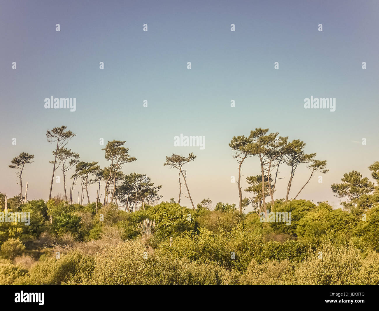 Uruguay landscape hi-res stock photography and images - Alamy
