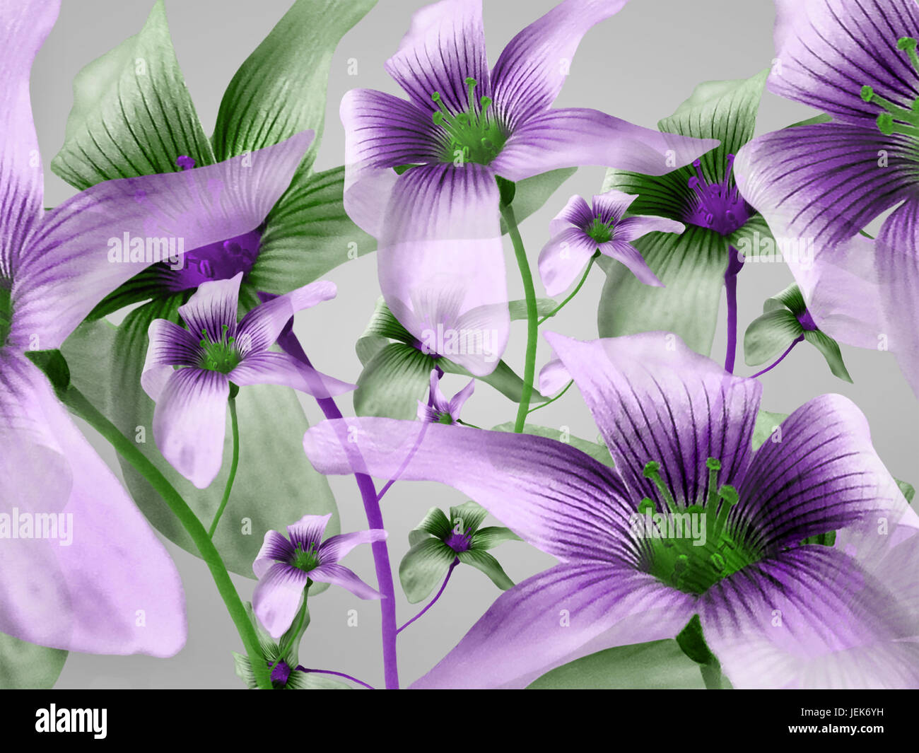 Lilies Collage Background Stock Photo - Alamy