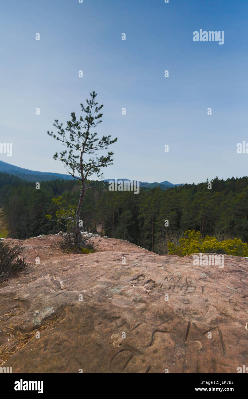 Lonely tree formation hi-res stock photography and images - Alamy